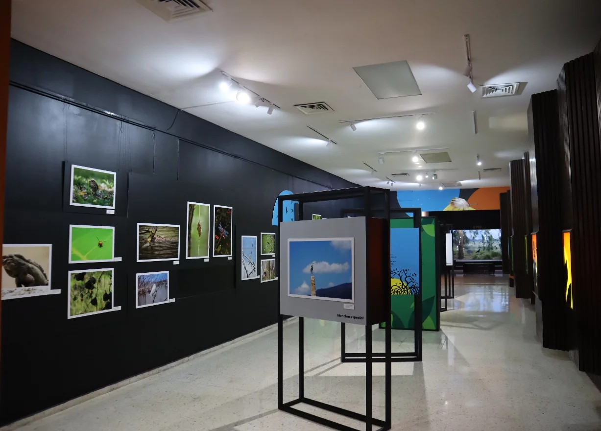 “Enfoque Fauna”, retrato de la biodiversidad RD