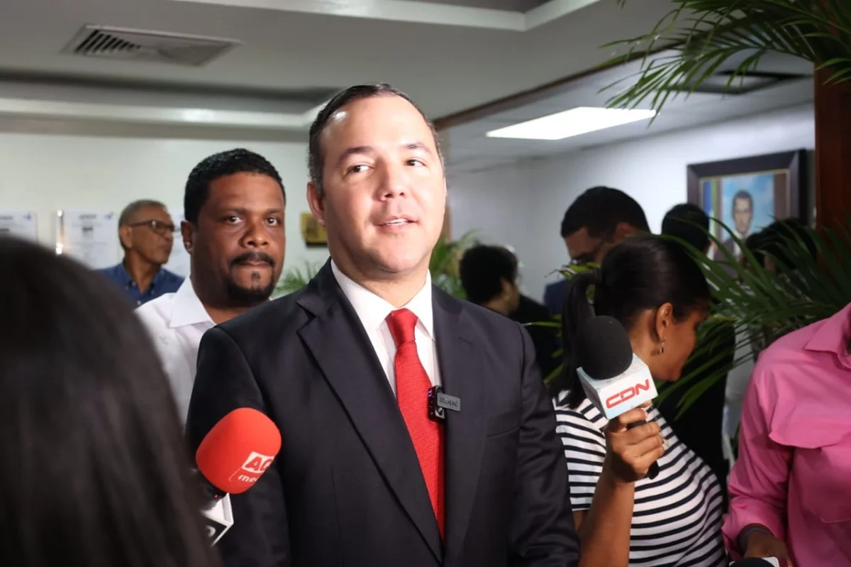 PLD califica de "exceso" la intimación de la JCE a la Fuerza del Pueblo
