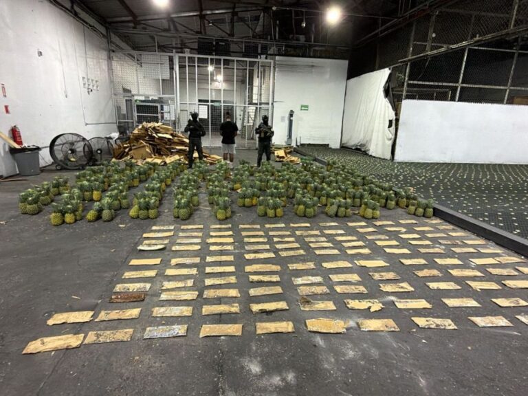 Ocupan 121 láminas de presunta cocaína ocultas en carga de piñas en el AILA